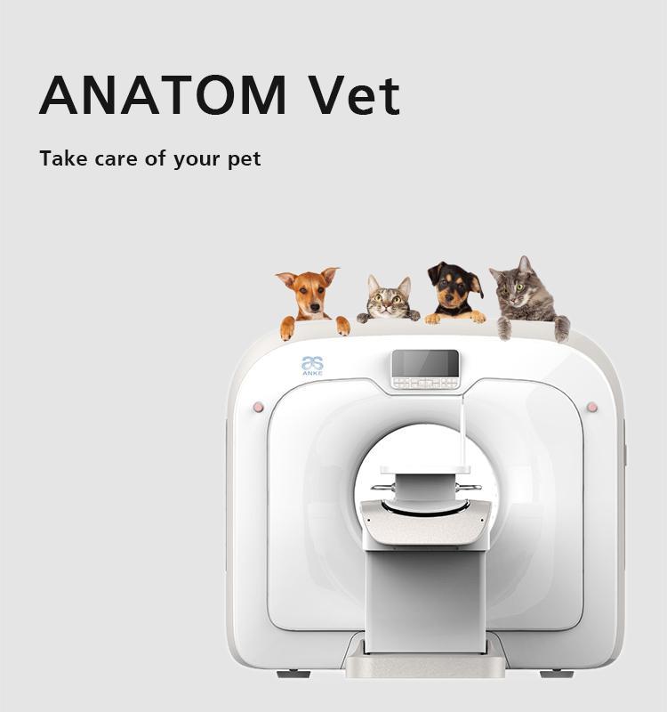 Multi-slice Spiral CT for vet