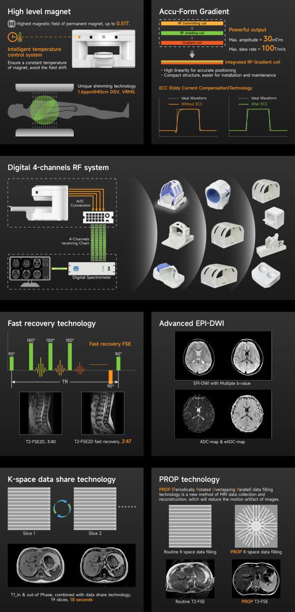 Permanent MRI System